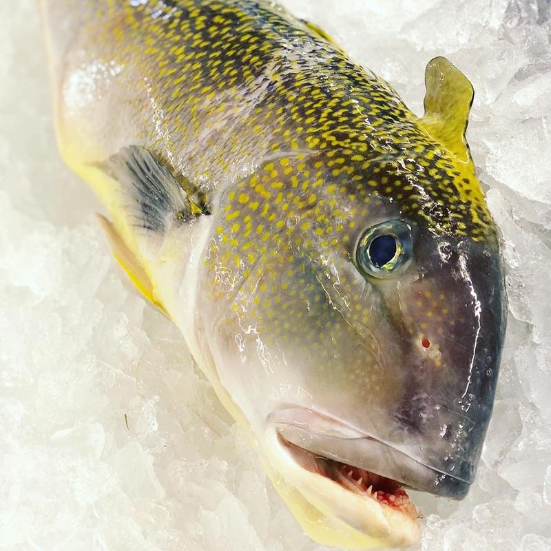 Spotlight: East Coast Halibut, Virginia Cobia & Seaside Salt Oysters!
