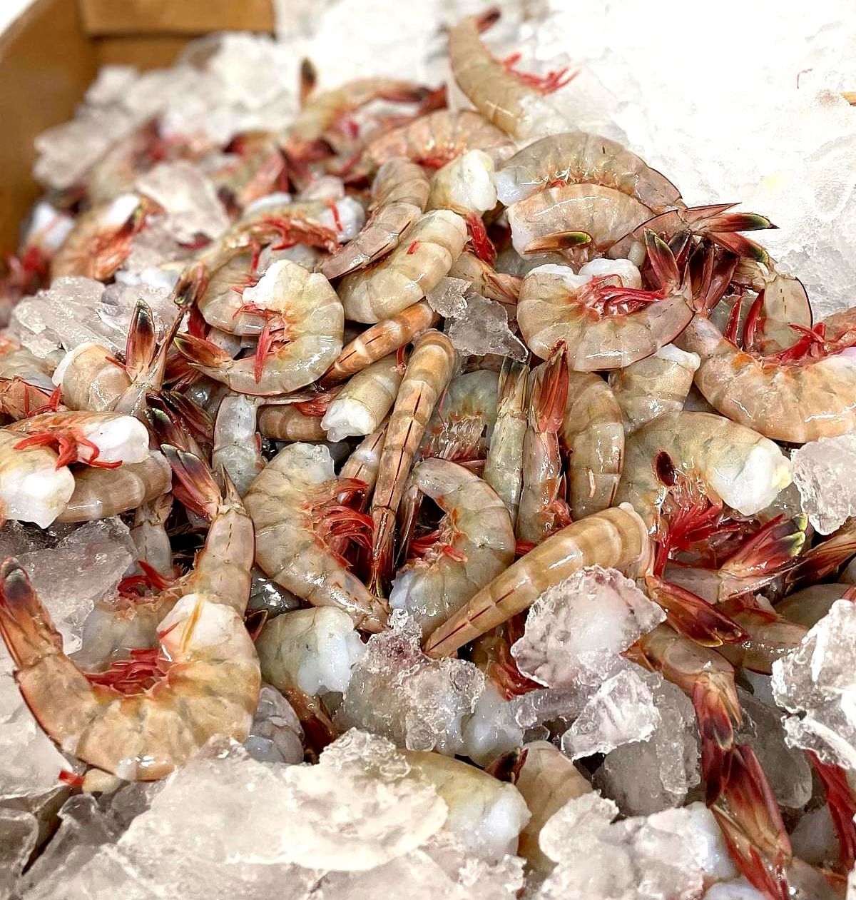 The seafood specials you have been waiting for 🦪