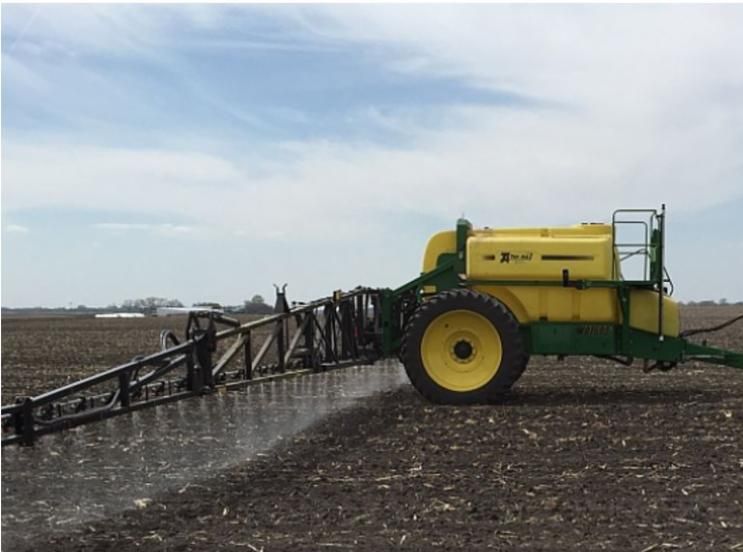 Take Advantage of Summer Fill