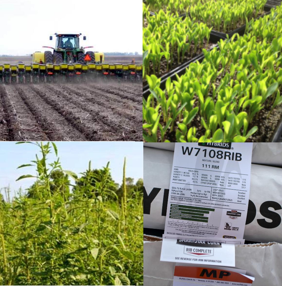 What the Salt Index Really Means