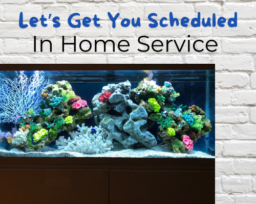 50 Years of Celebrating Continues 🎩 Amazing Fish Specials!