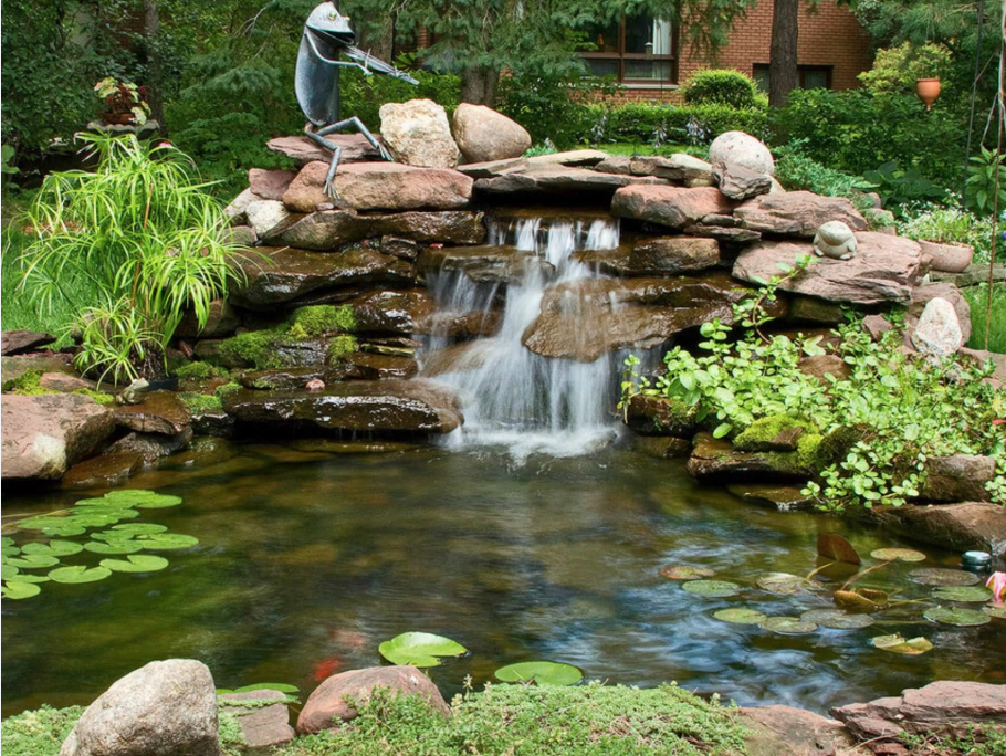 Ponds, Greenhouse, New Plants & Fish. Free Class Tomorrow 4/26 👔
