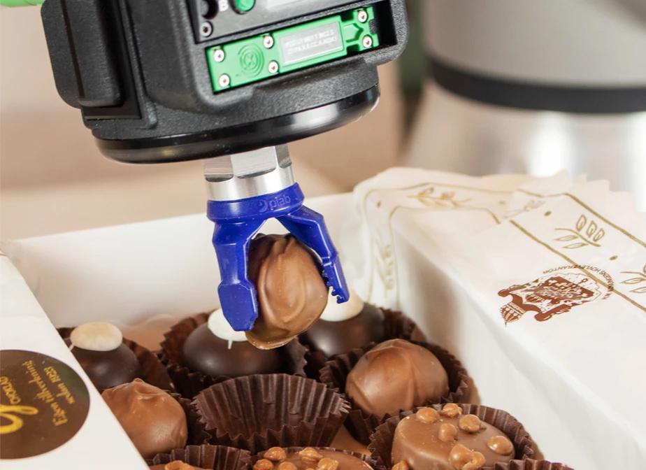 Evolving Automation: Piab's Gripping, Lifting, and Moving Solutions