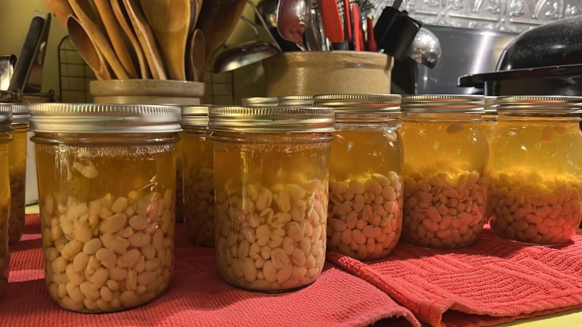 Simple Steps For Food Preservation
