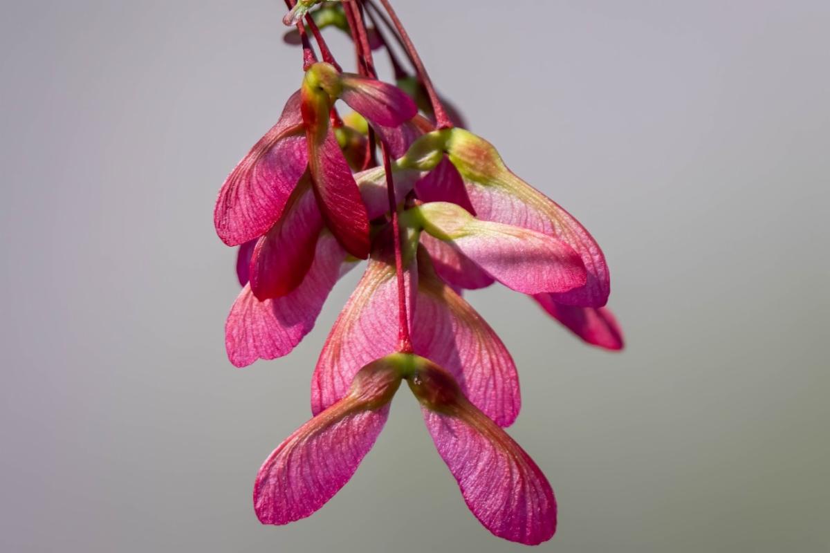 Historic Yates Mill - April 2024 News