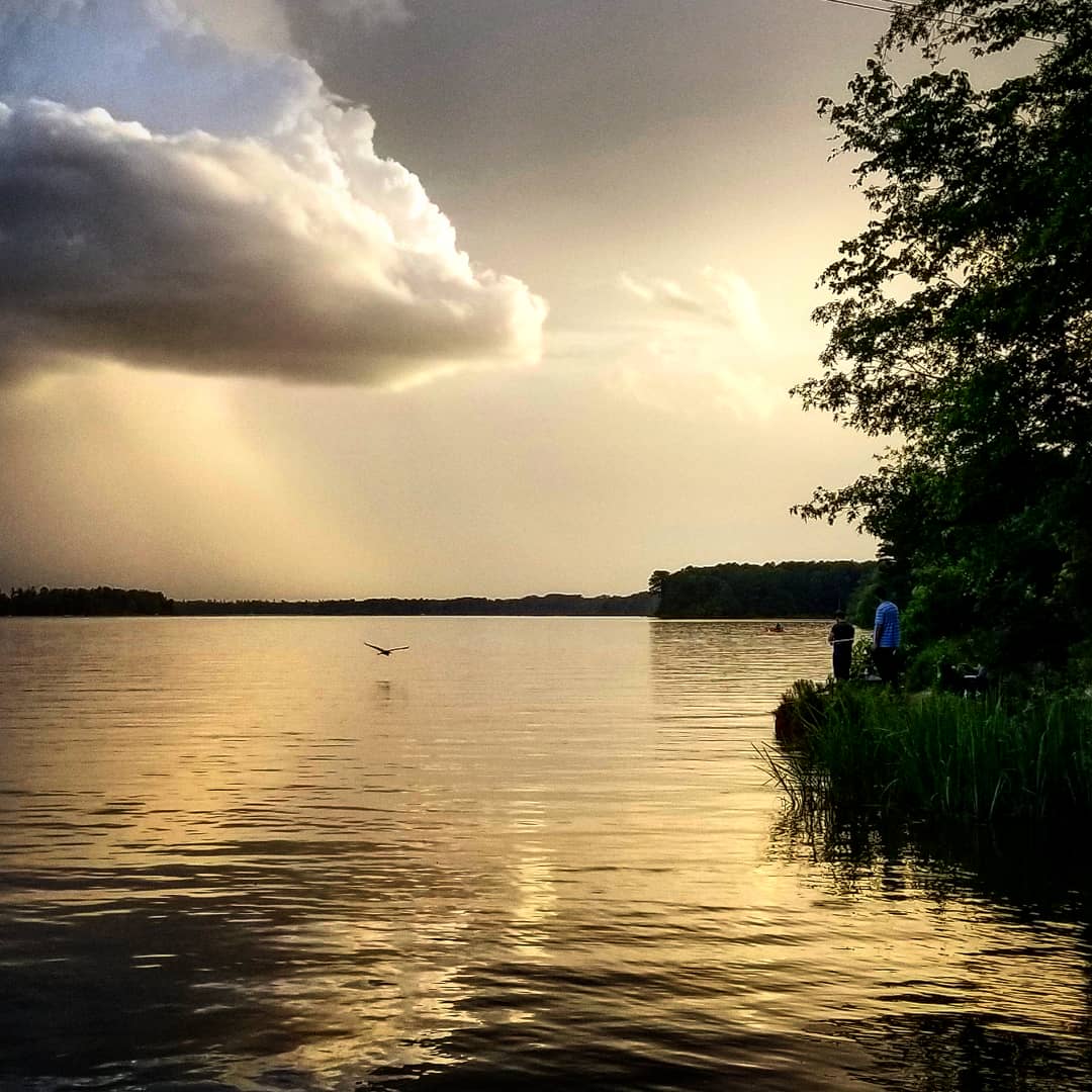 November 2021 at Harris Lake County Park and the American Tobacco Trail