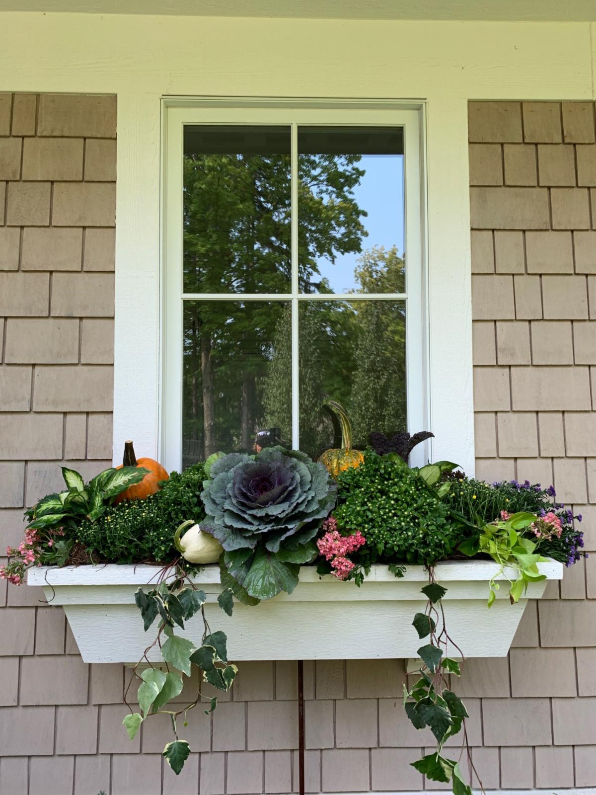 Botanical Blitz Buzz- Fall 2023