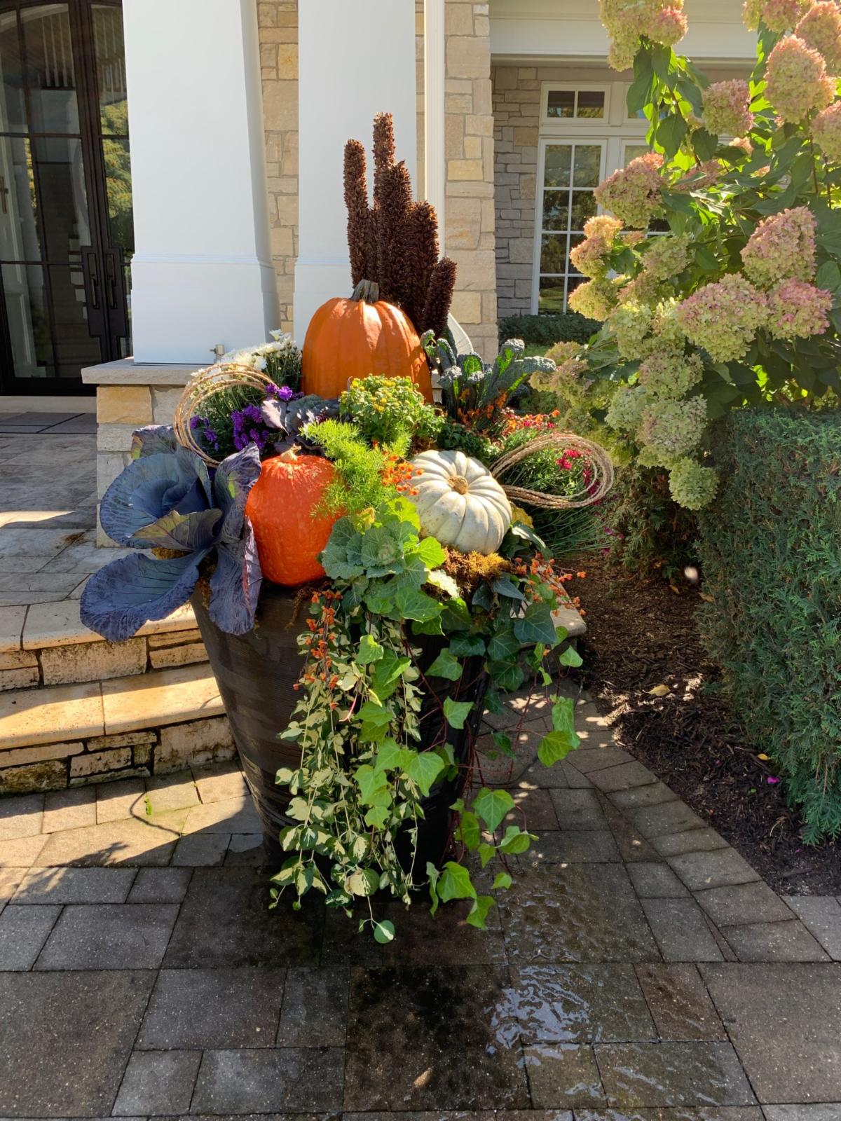 Botanical Blitz Buzz- Fall 2023