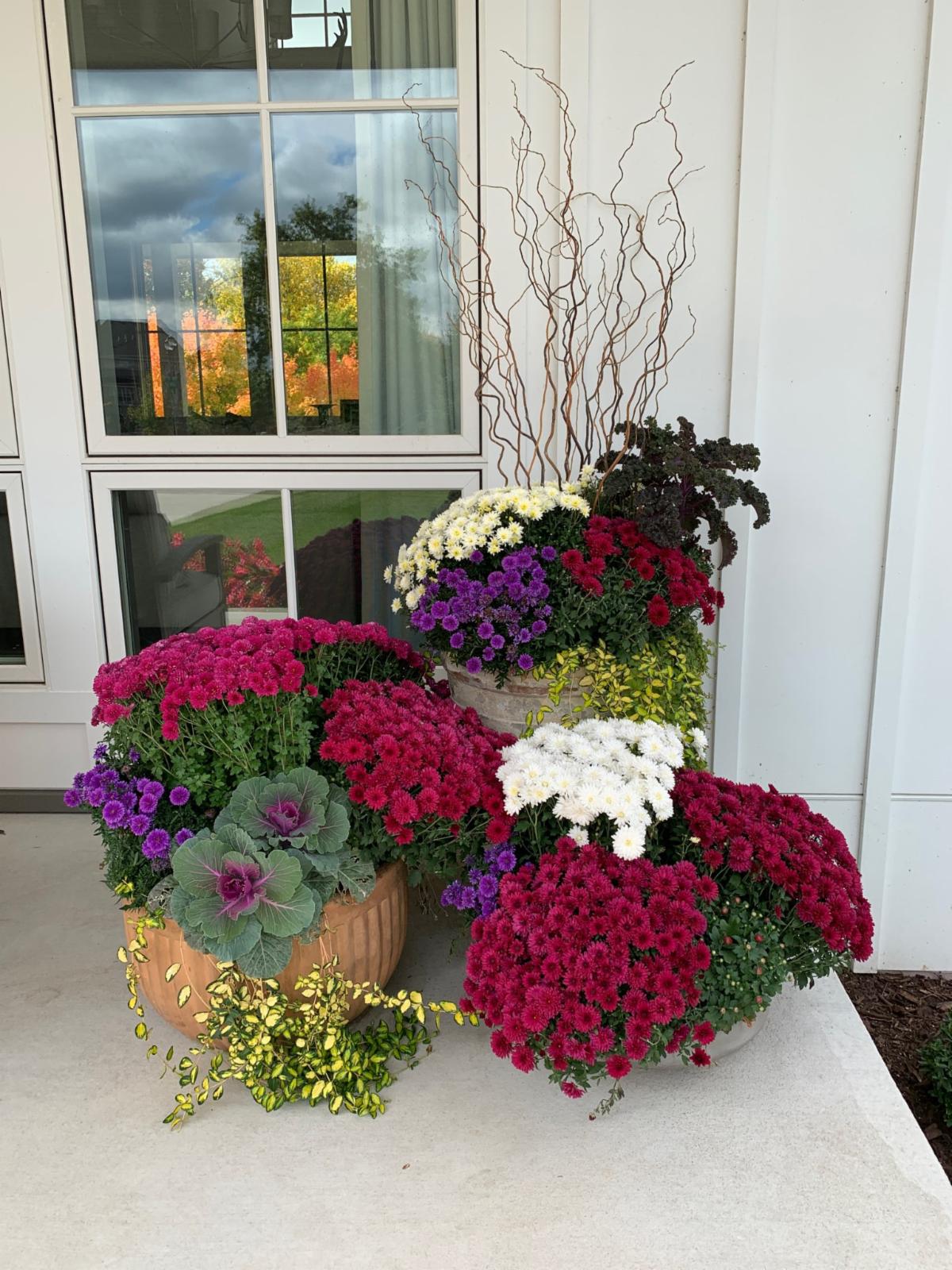 Botanical Blitz Buzz- Fall 2023