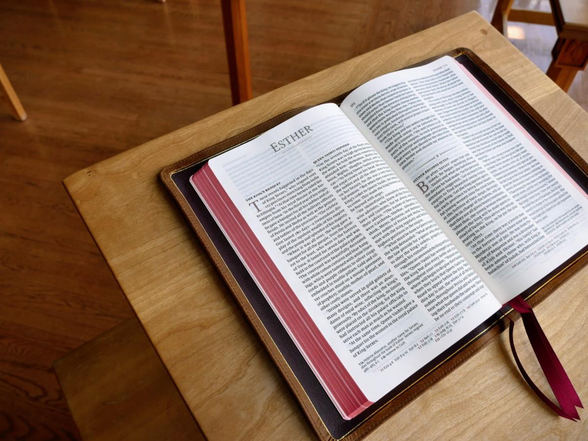 Important Bible Survey!