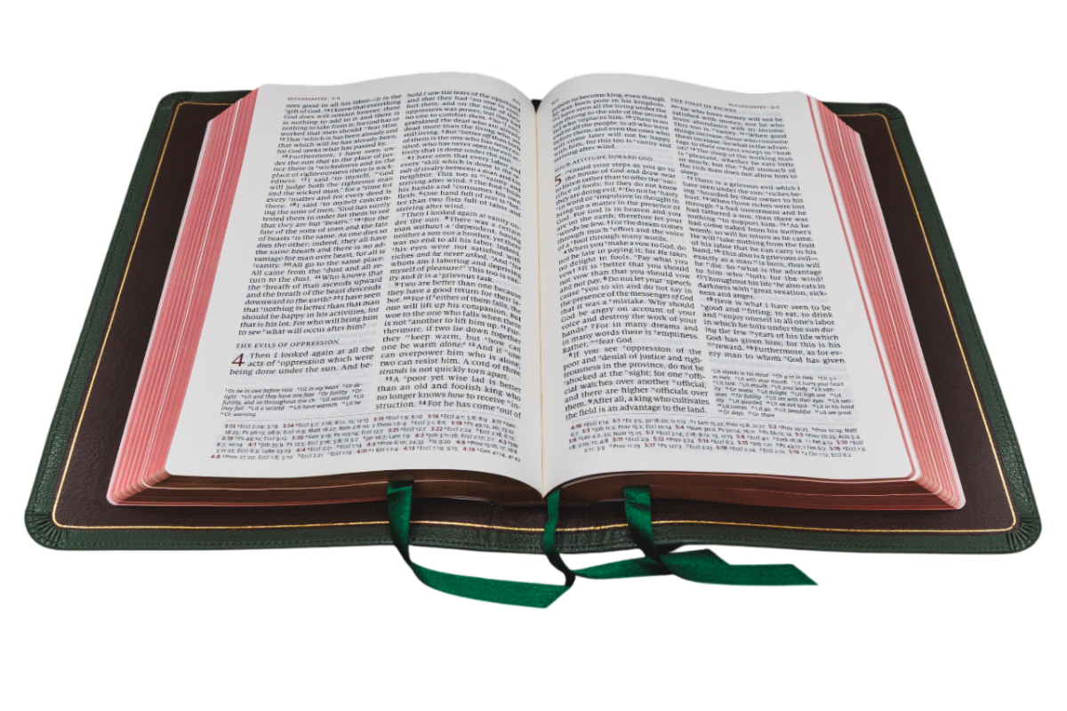 Allan ESV NIV NASB