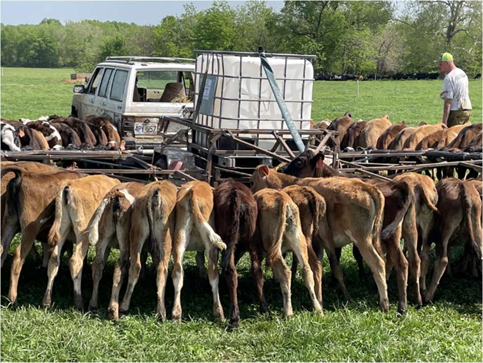 Capital Area Ag & Hort Program E-News July 21 2023