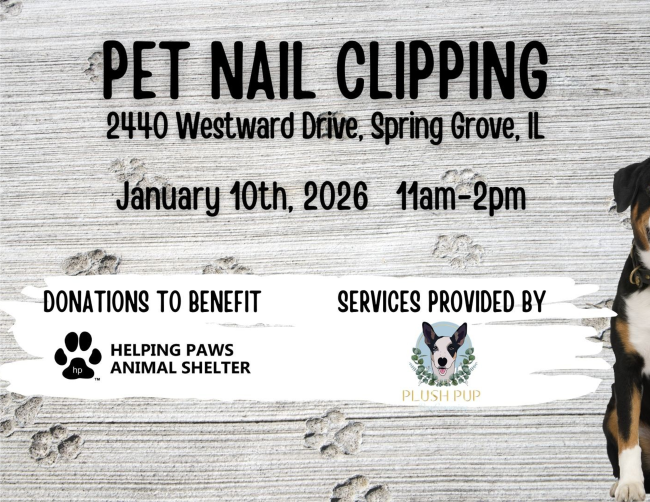 Your Weekly Village News