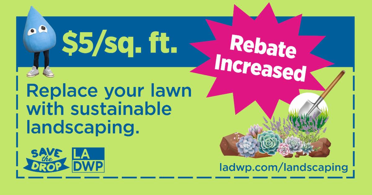 Catch the Monthly Drop