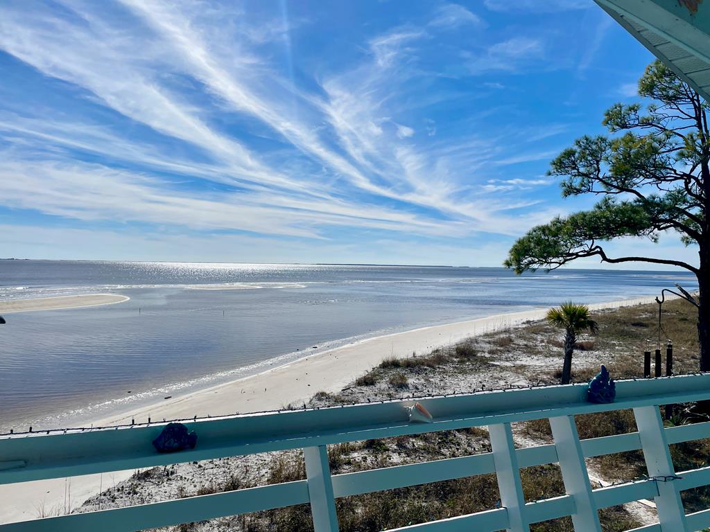 February Newsletter 2024 Coastal Realty