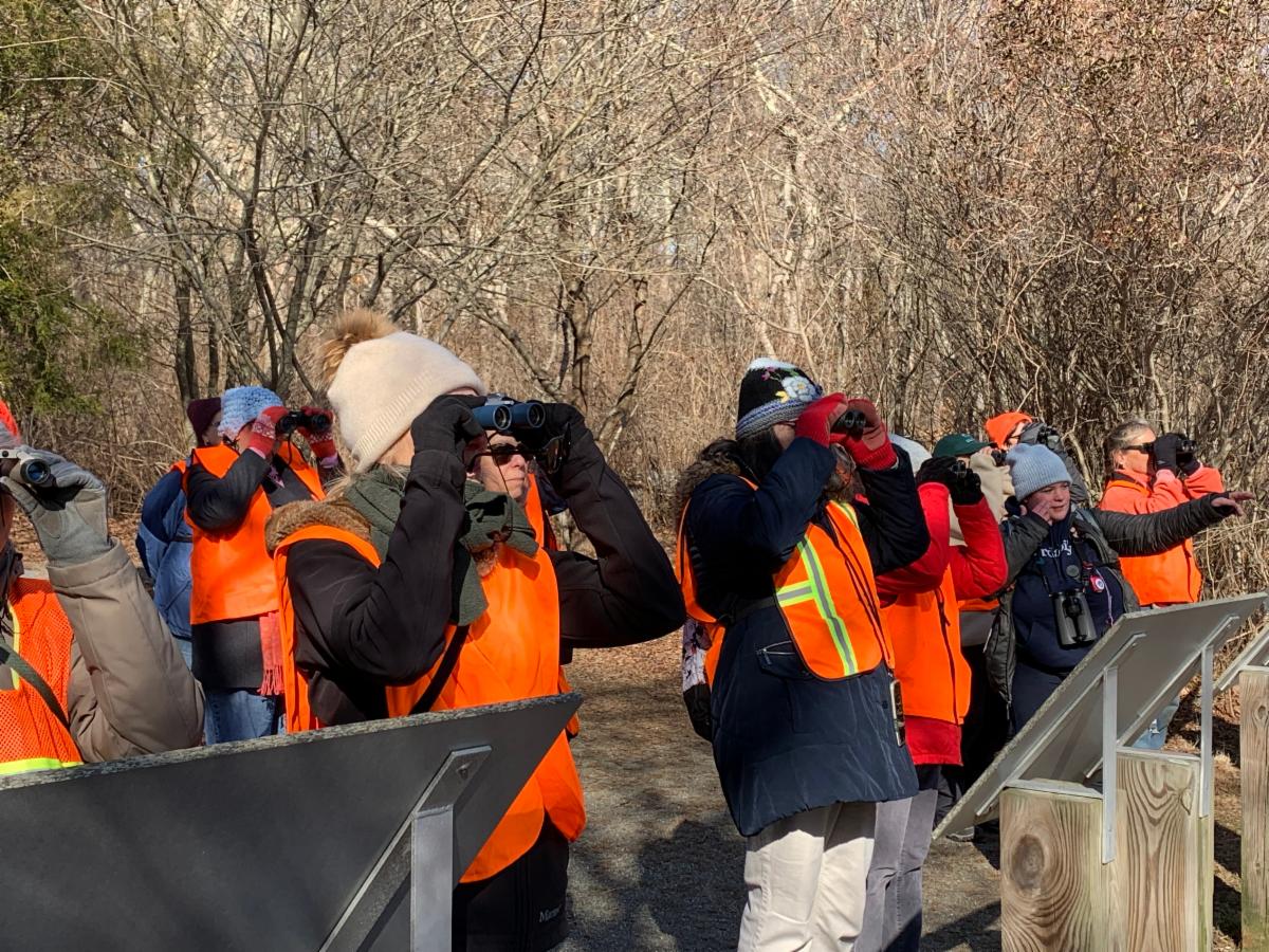 Winter Birding Hike