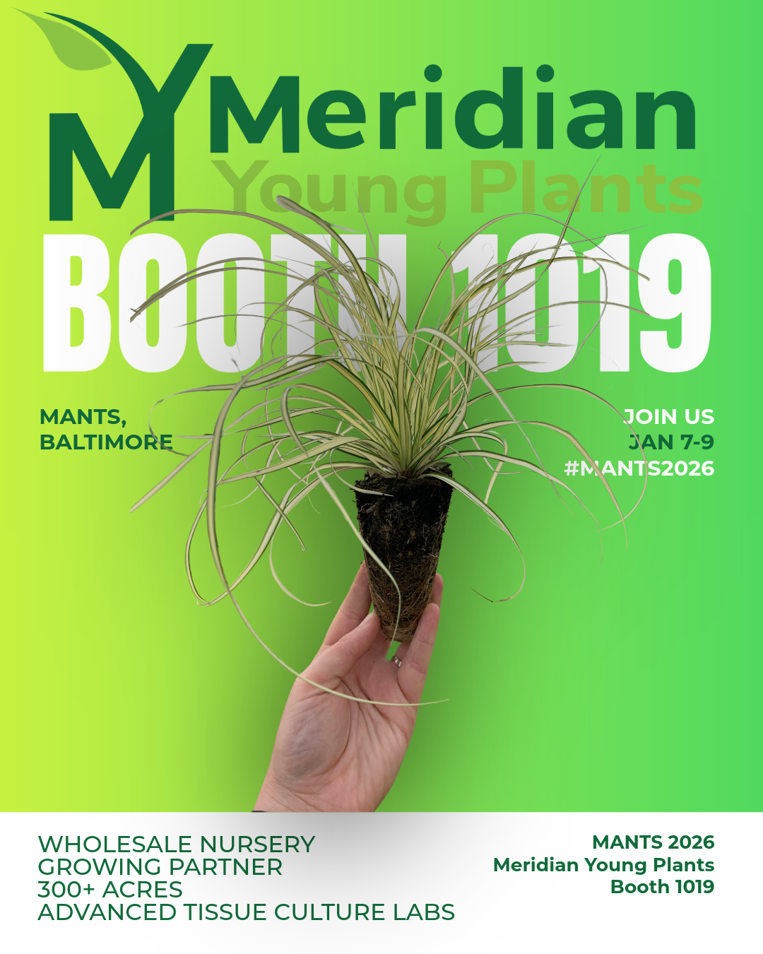 MYP and JRT Availability Lists