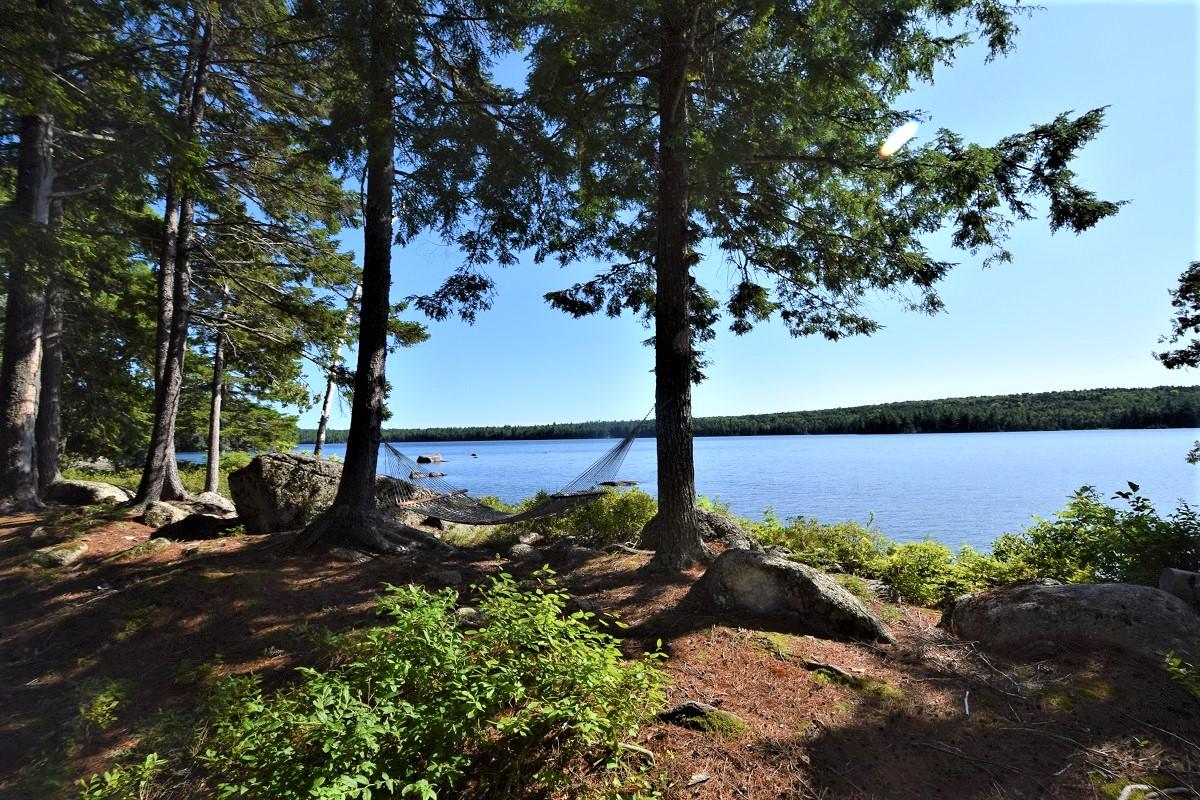 Thank you for being a client.