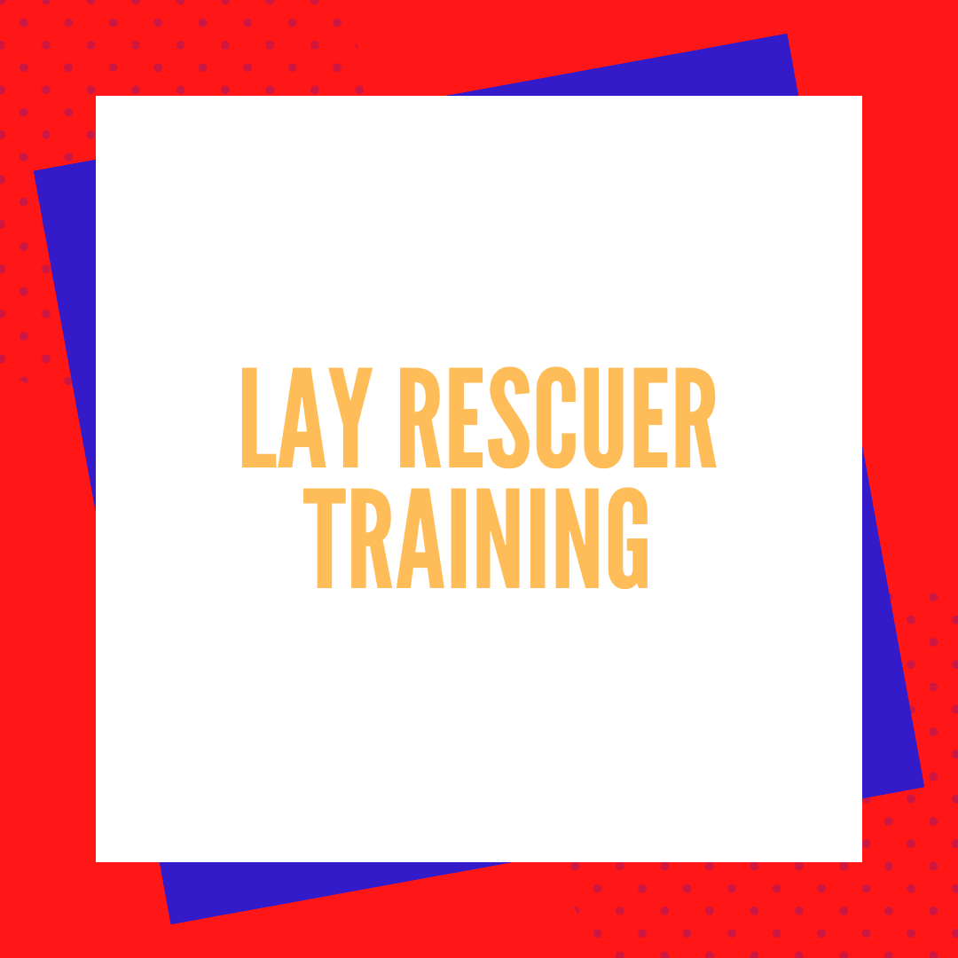 Virtual Trainings are Now Available