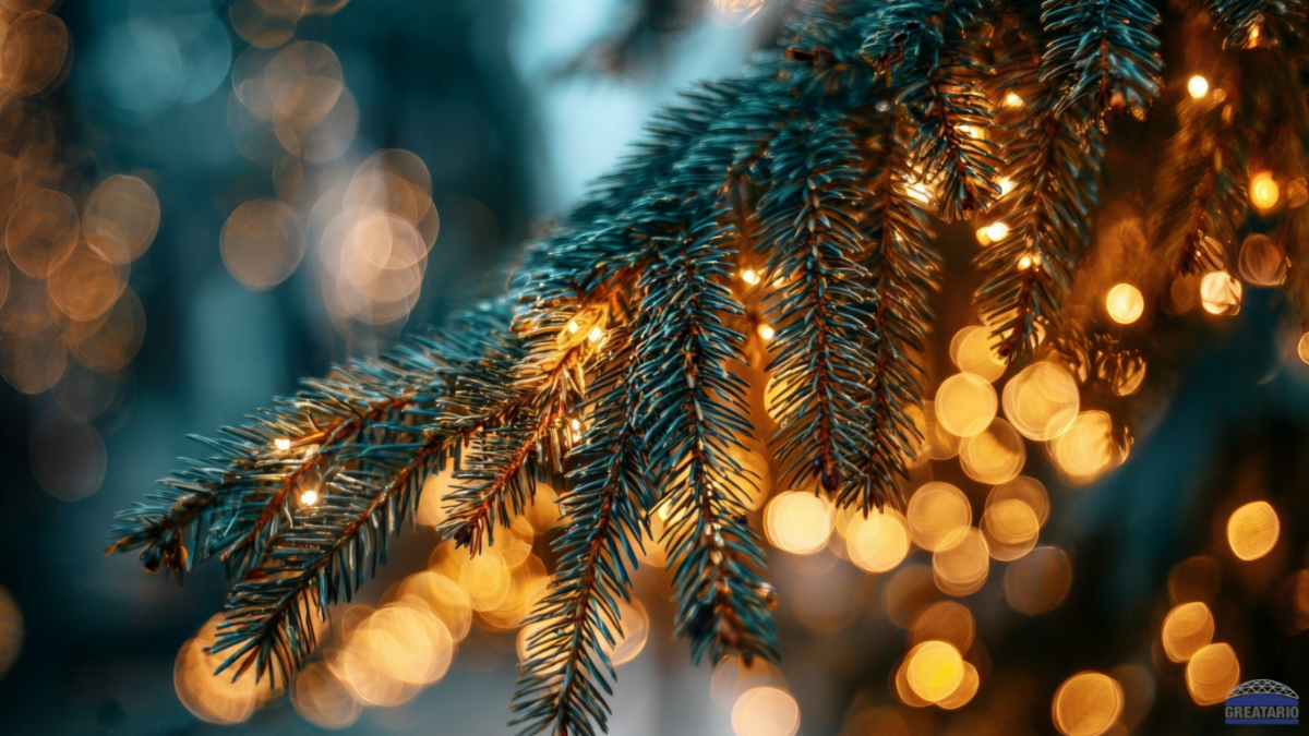 Tank Talk: Looking back on a year well built