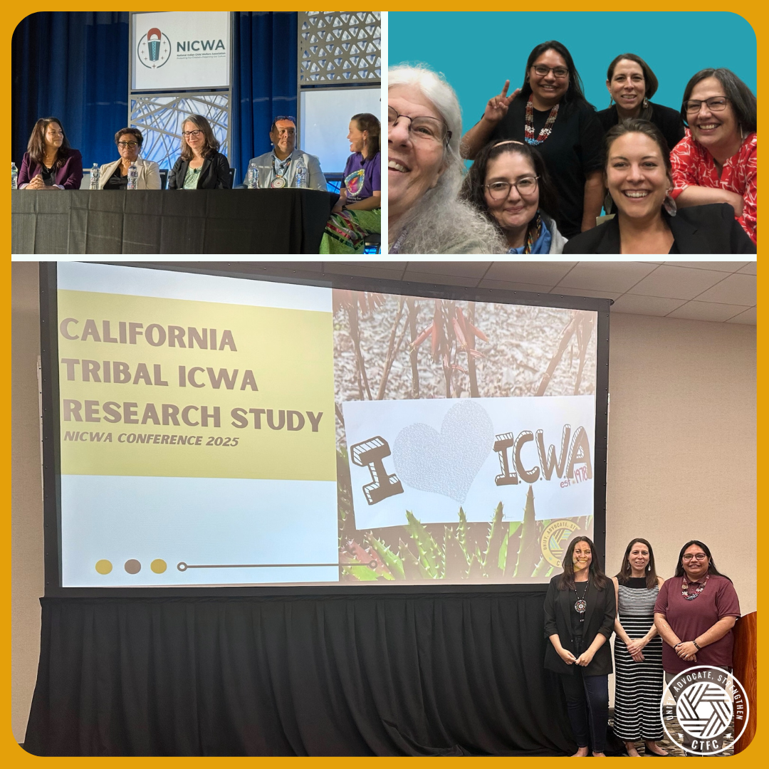 CTFC Monthly Highlights - March 2025