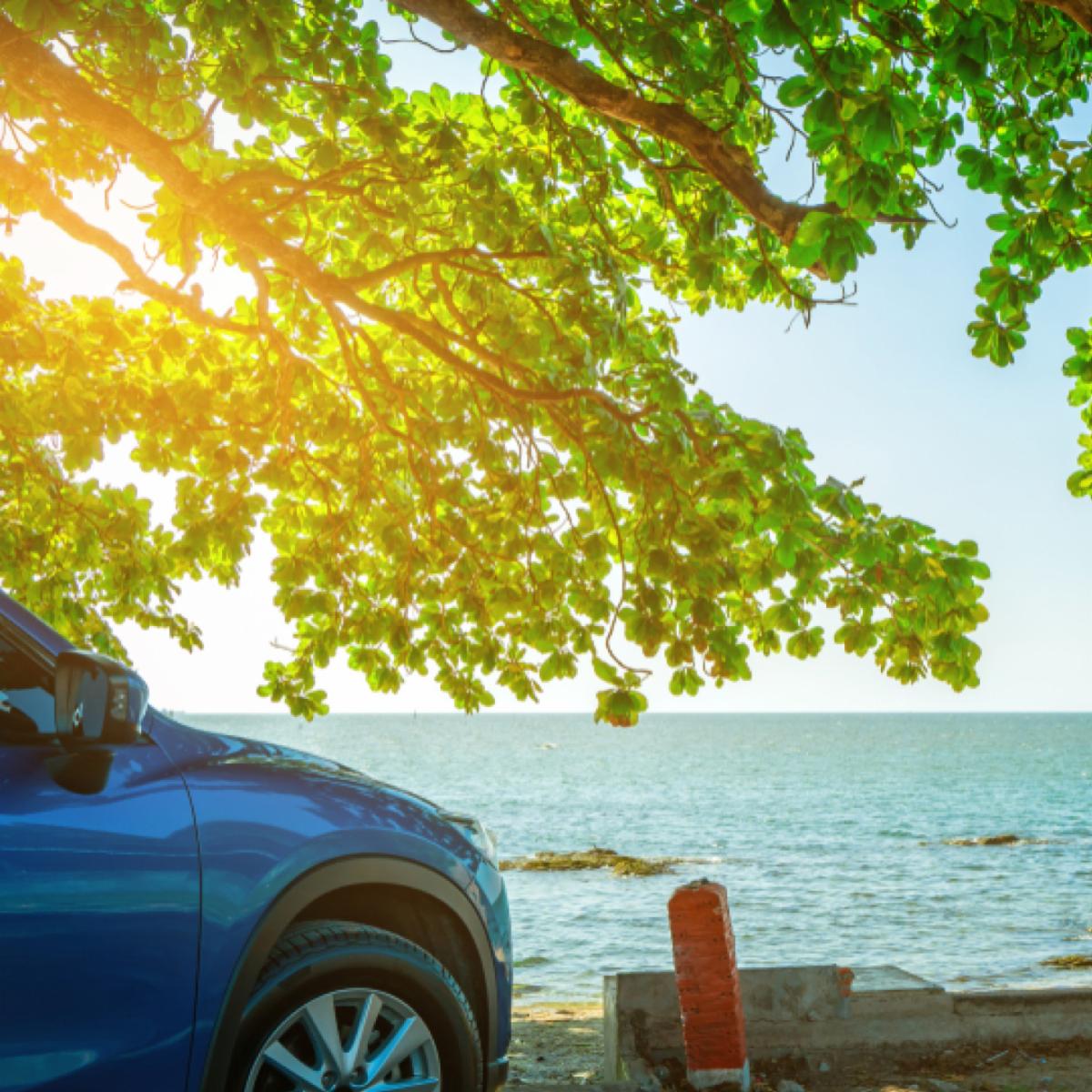 Summer Car Tips Just for You!