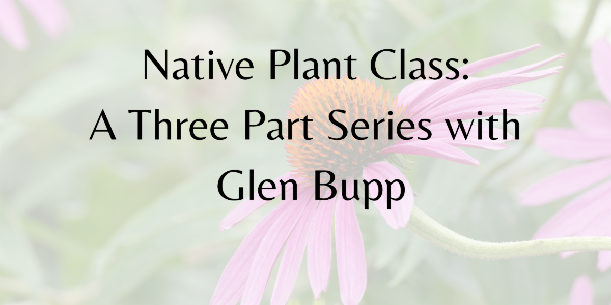Natives Class - A Three Part Series