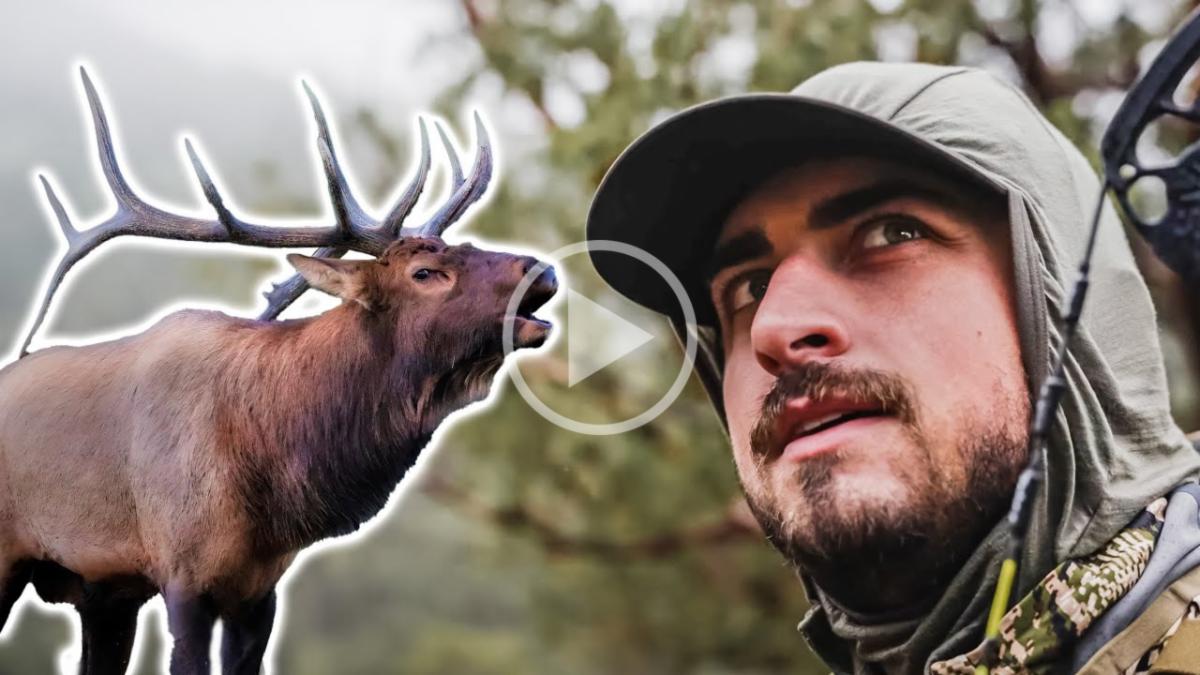 Reminder: Discounted & Featured Hunts