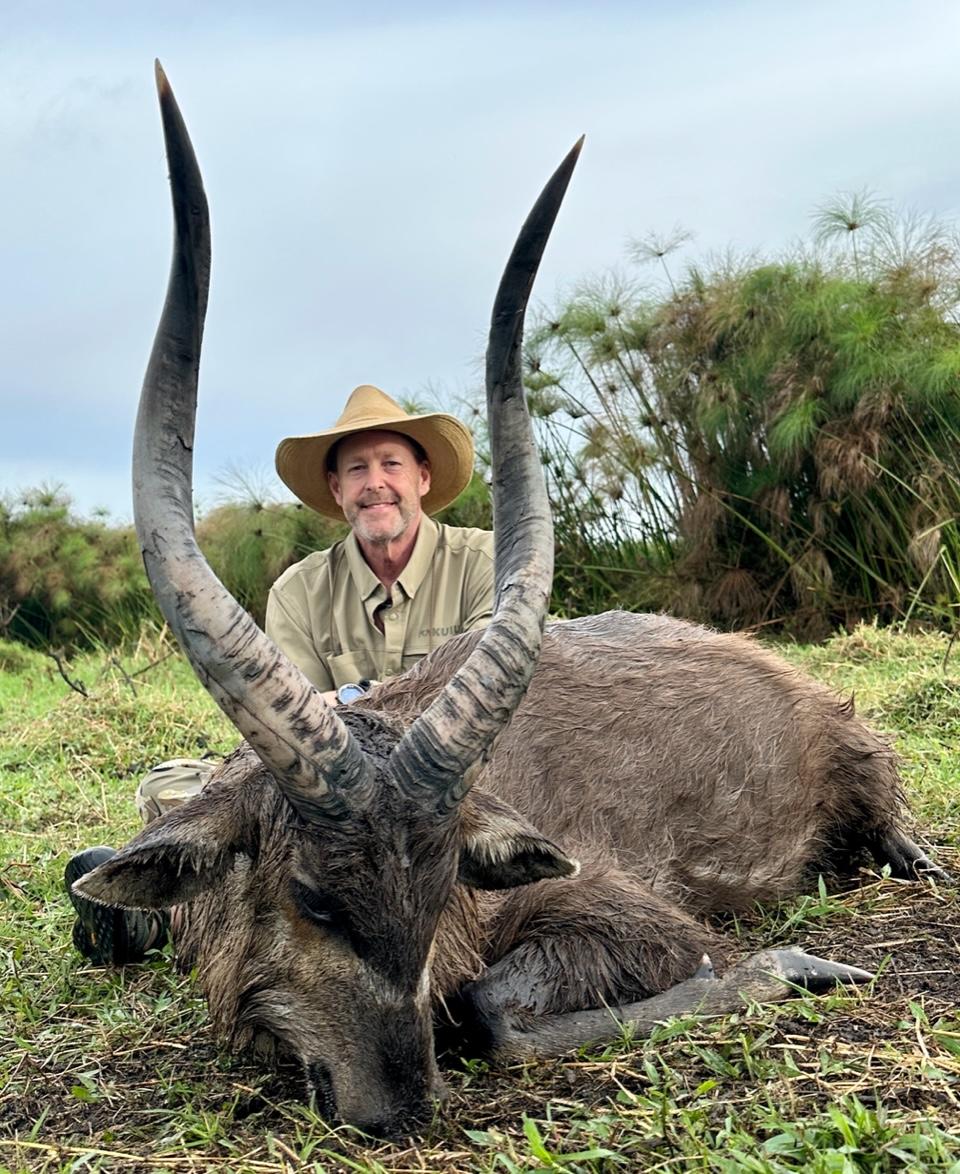 Hunting Sitatunga in Africa + Featured Hunts