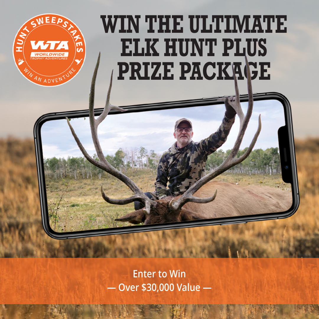 Start Planning Your 2024 Elk Hunt NOW + Featured Trips