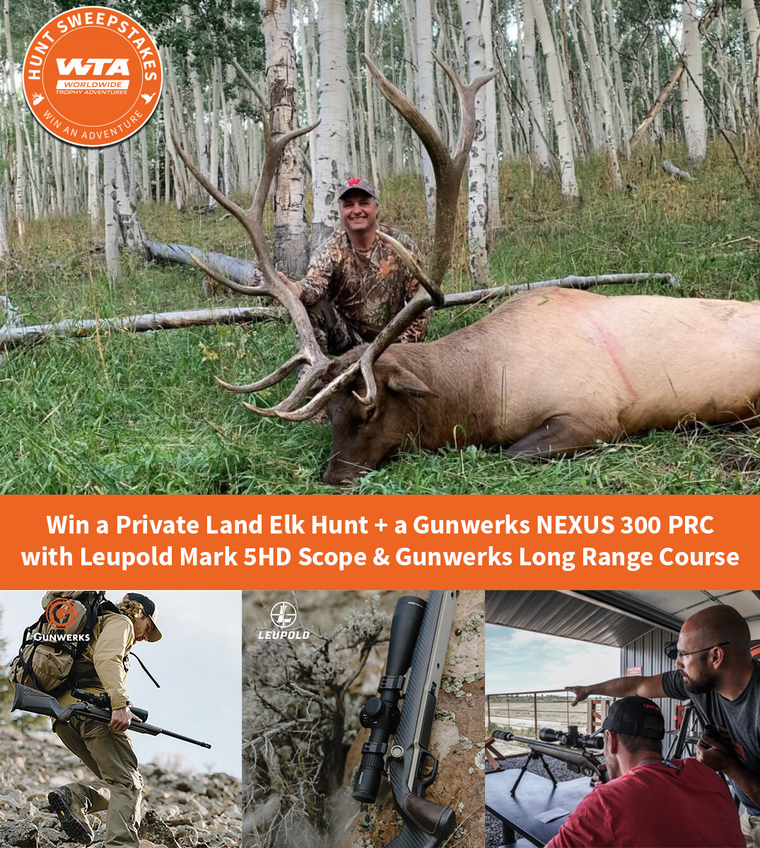 DISCOUNTED Big Game Hunting & Fishing Trips