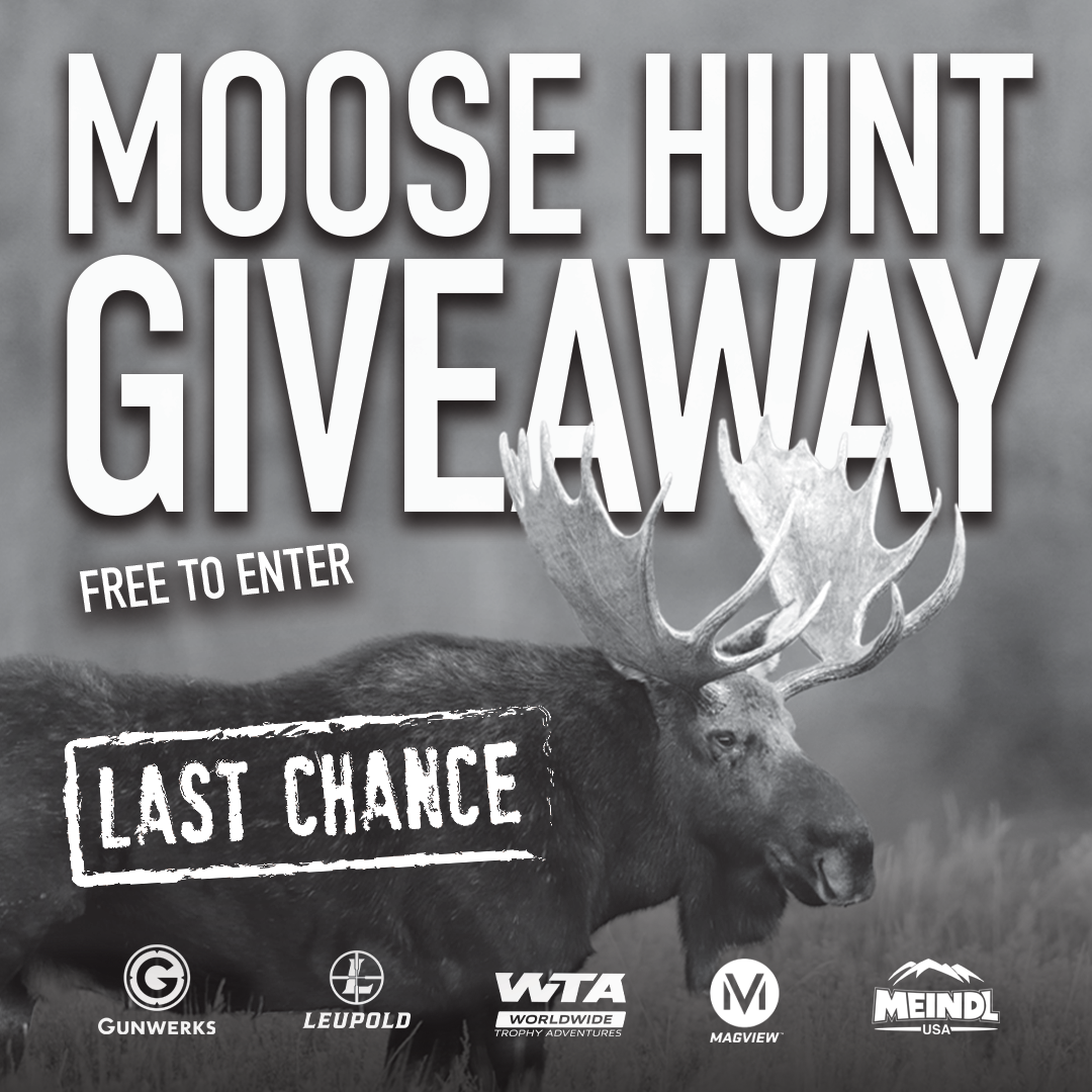 FINAL Hours! WIN a Moose Hunt