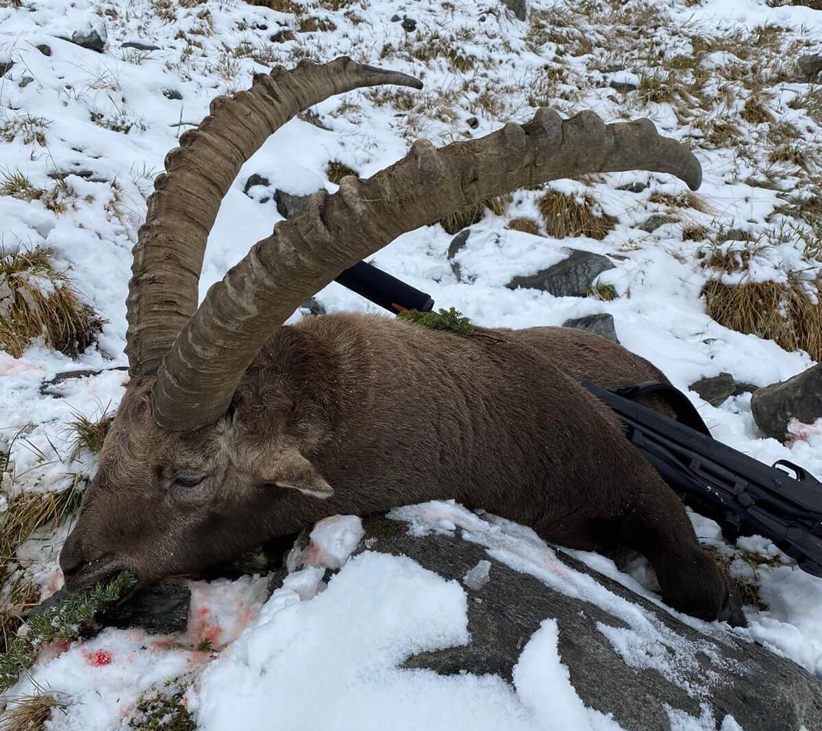 Reminder: Discounted & Featured Hunts