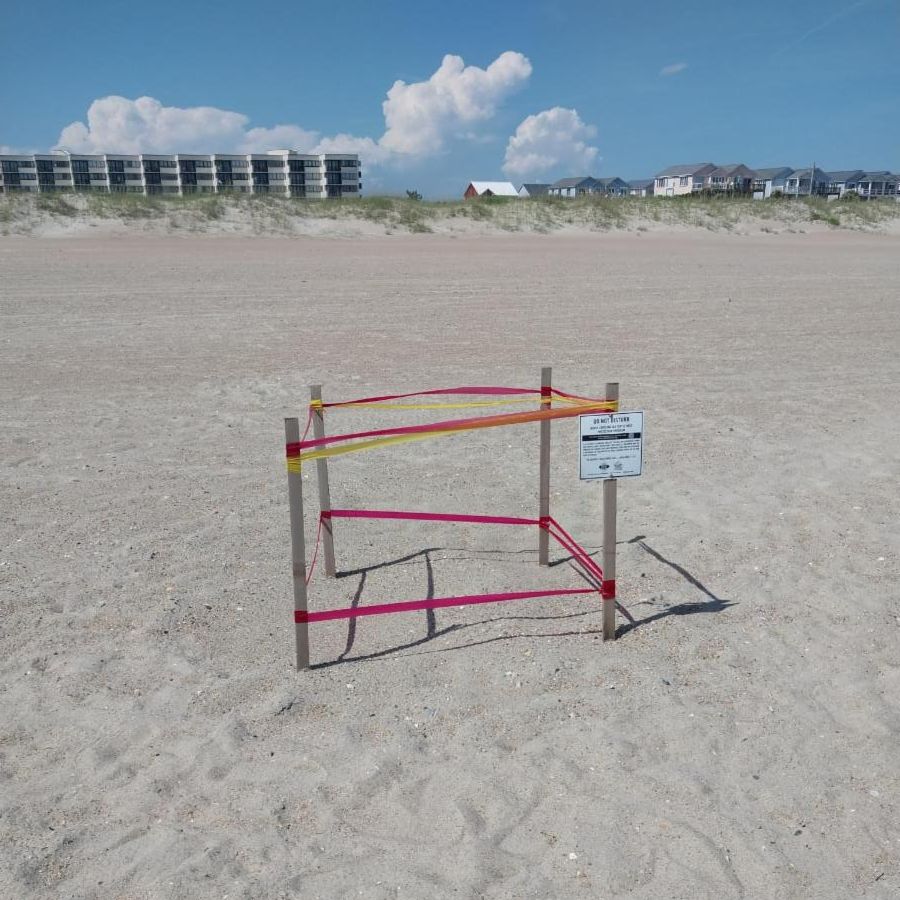 Ocean Breeze Newsletter