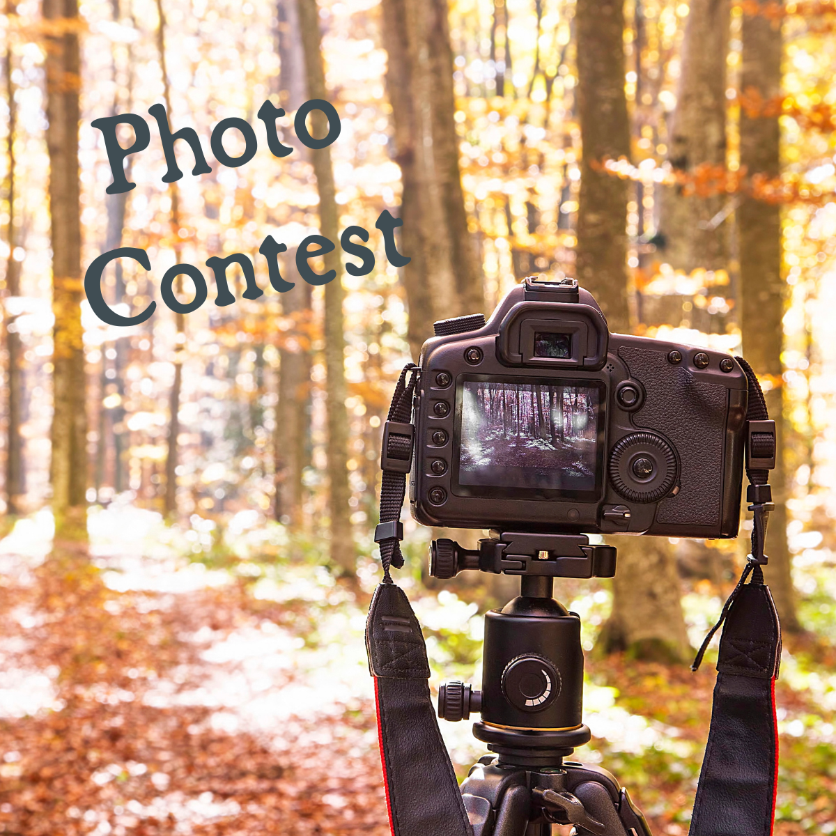 Community Photo Contest