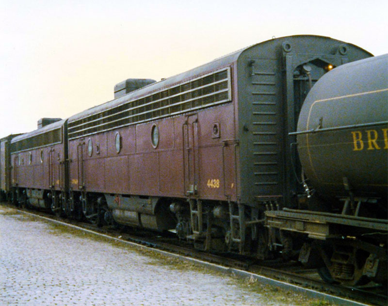 Rapido News 103 - New Videos and Product Updates!