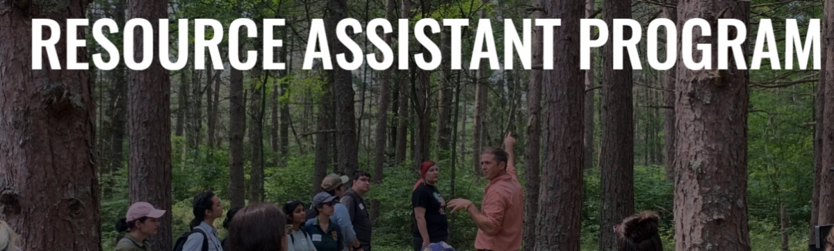 Apply Now! Forestry Technician Positions & Internships are open!