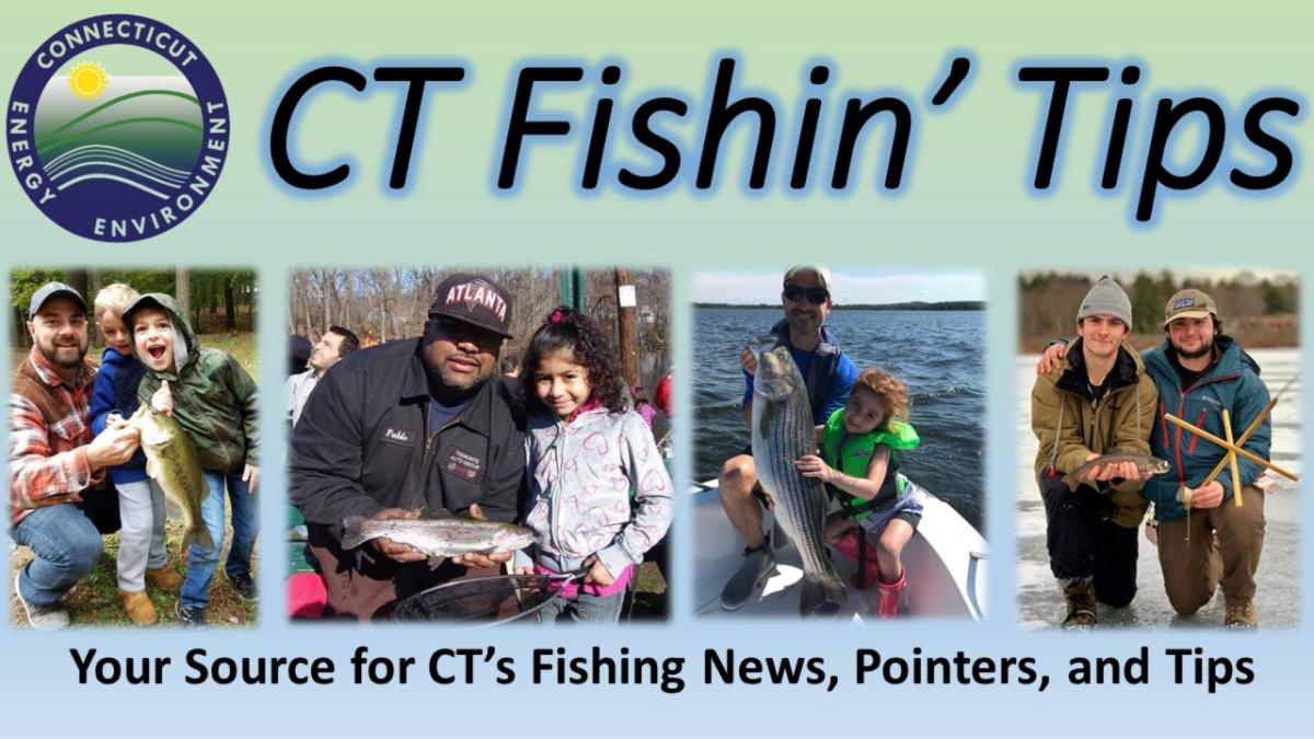 The latest fishing news for you