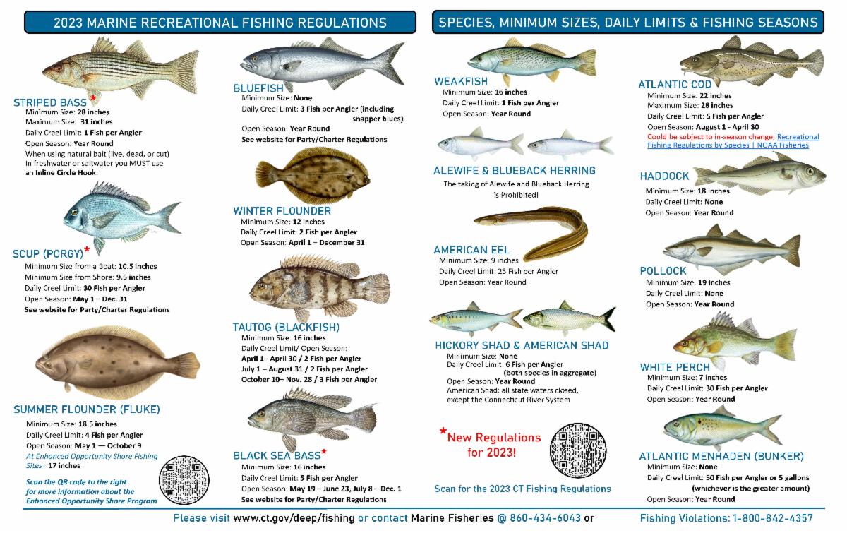 The latest fishing news for you