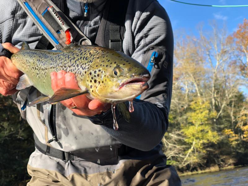 The latest fishing news for you
