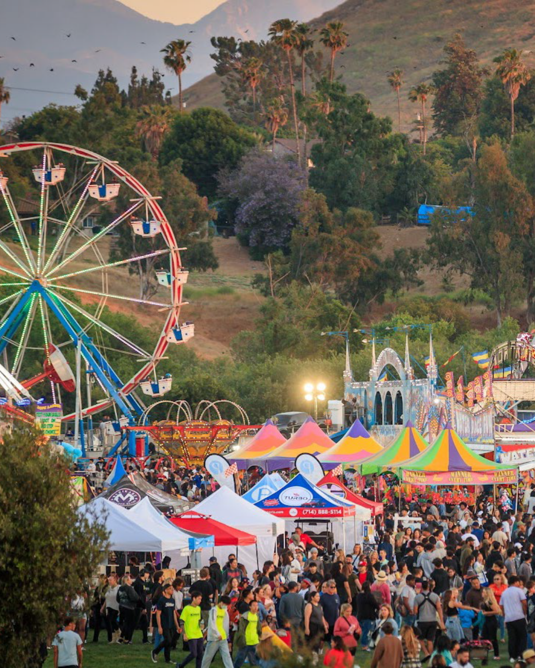 JCSD Monthly Community Updates