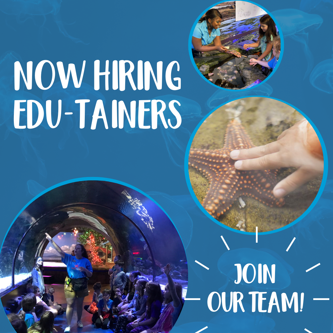 Spring break fun, job openings, mermaid breakfast and more!