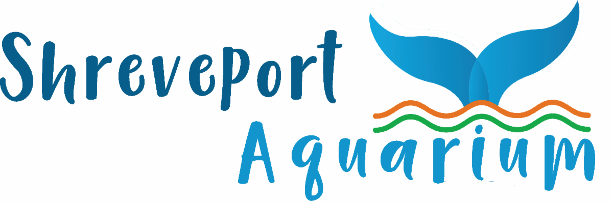 New baby shark mystery, mermaid breakfast and Paddlefish Festival!