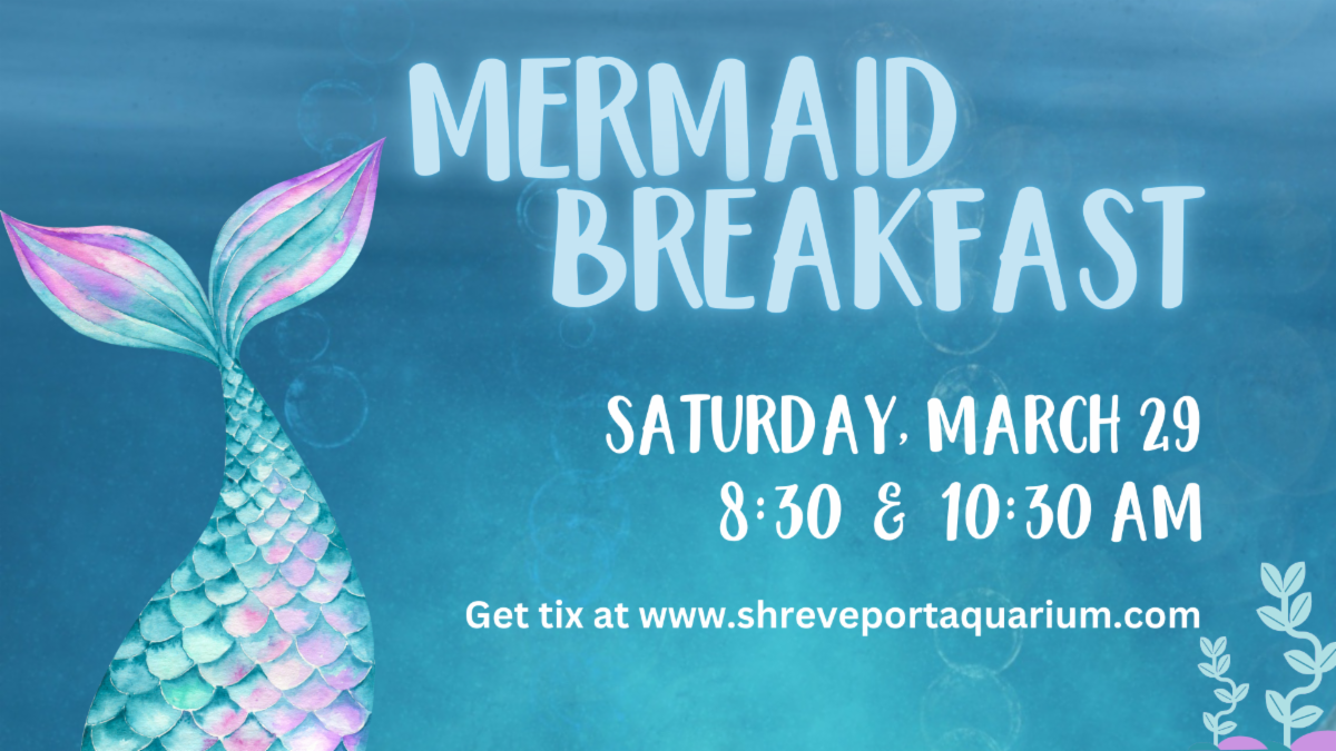 Summer camp early bird special ends soon, Mermaid Breakfast tix almost ...