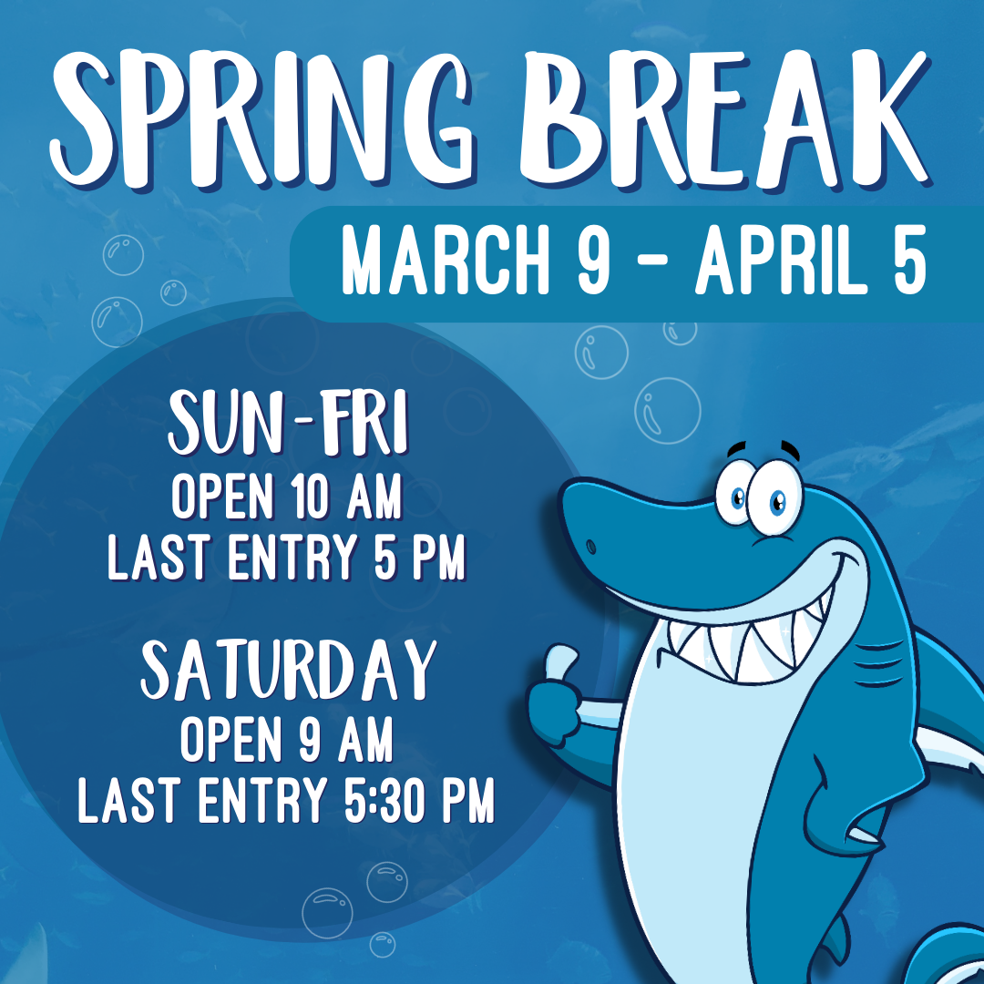Spring break fun, job openings, mermaid breakfast and more!