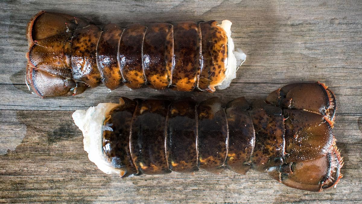 Jumbo Lobster Sale - Up to 25% Off Online Shipping