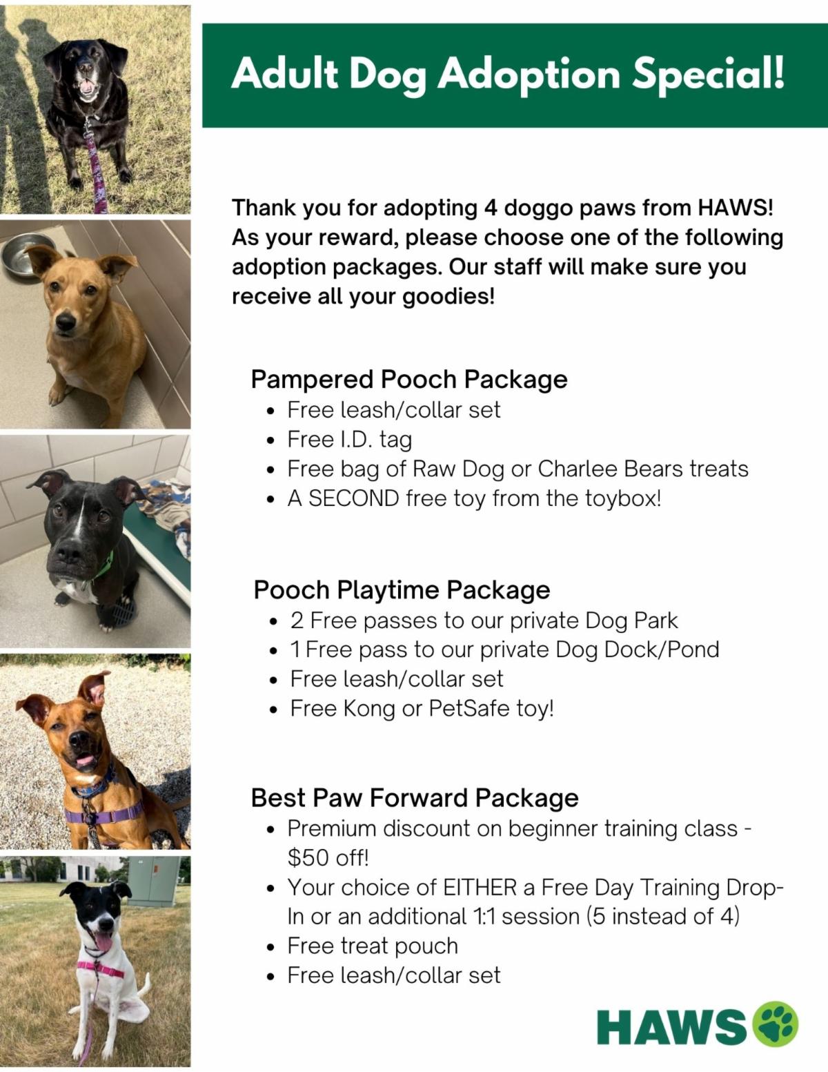 This Week's HAWS' Pen Pal!