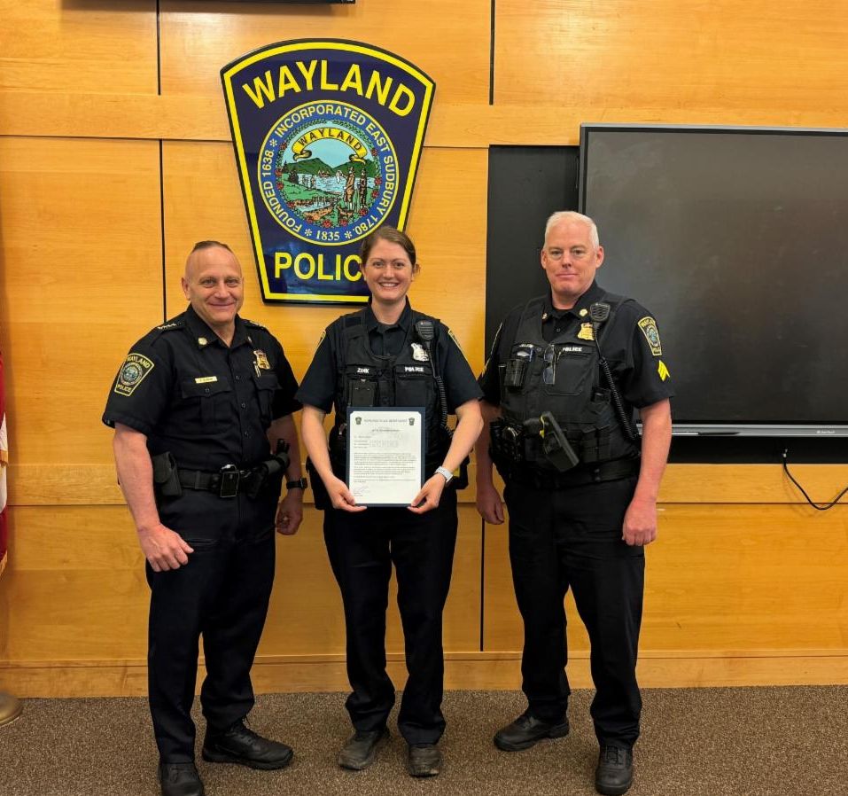 Town of Wayland Newsletter