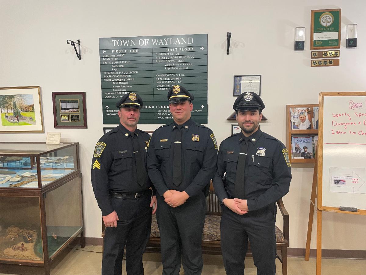 Town of Wayland Newsletter
