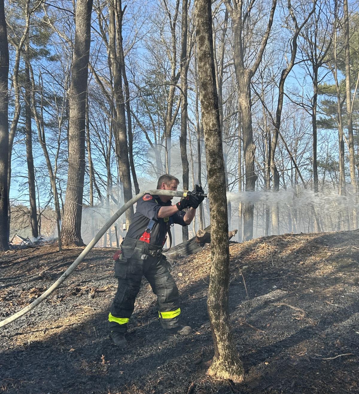 Town of Wayland Newsletter